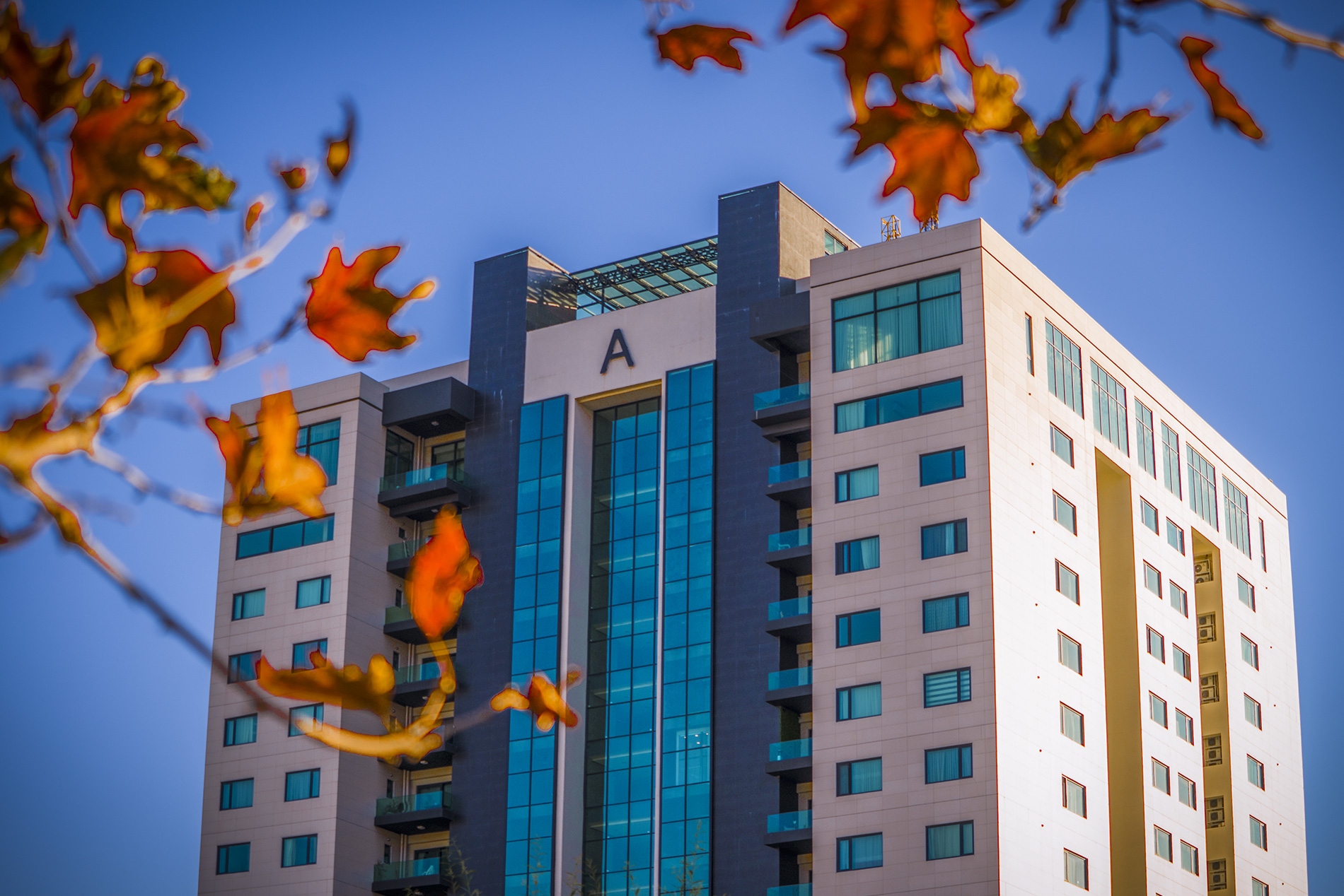 RT Construction – RT Construction